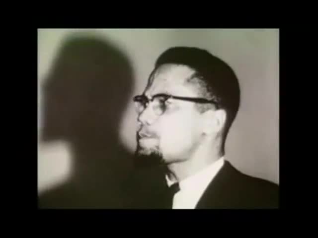 Windows mx 8 1 by malcolm x - dockeng