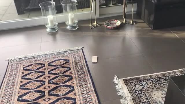 Intelligent Security | Camera Cover - Webcam Privacy Cover by ...